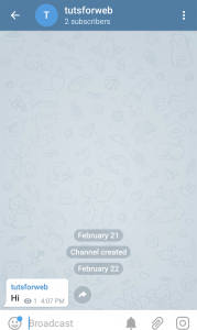 Sending Notifications to Telegram Messenger with Laravel. - TutsForWeb